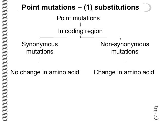 281 lec27 point_mutations