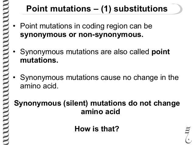 281 lec27 point_mutations