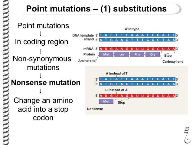 281 lec27 point_mutations