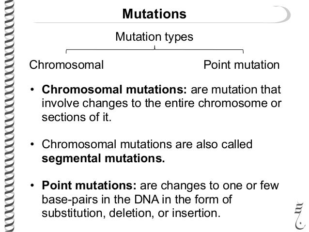 281 lec27 point_mutations