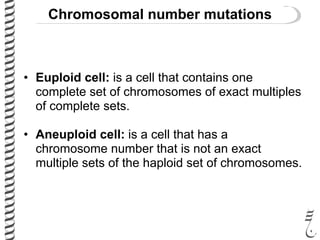 281 lec28 chromosomal_mutations | PDF