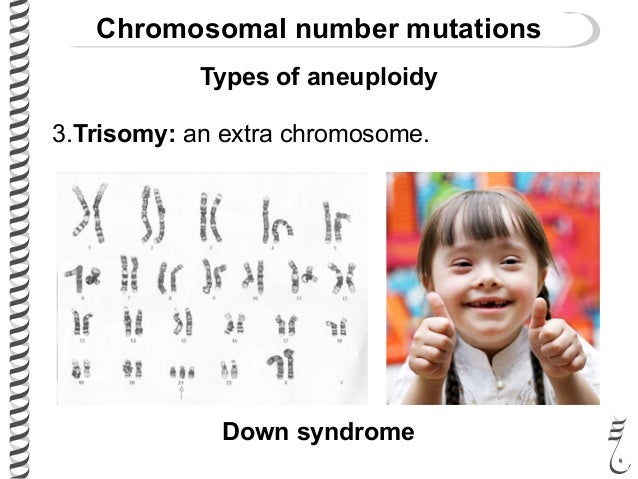 281 Lec28 Chromosomalmutations