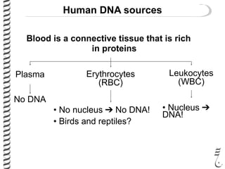 281 lec29 mol_tech1 | PPT | Free Download