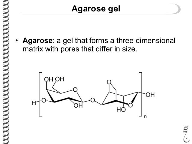 281 lec30 mol_tech2