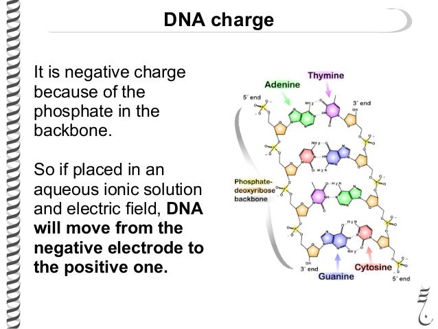 281 lec30 mol_tech2