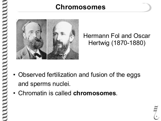 1876 Oscar Hertwig and Hermann Fol both describethe entry of sperm into ...