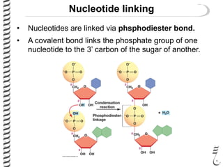 281 lec5 chemical composition | PPT