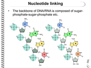 281 lec5 chemical composition | PPT
