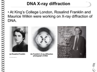 281 lec6 double_helix | PPT