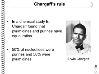 281 lec6 double_helix | PPT