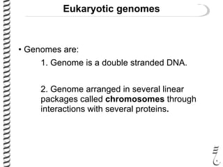 281 lec7 genome_organization | PDF