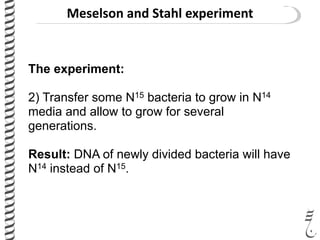 281 lec8 replication_experiments | PDF | Biological Sciences | Science