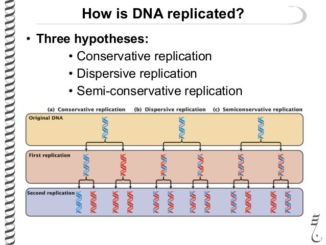 281 lec8 replication_experiments