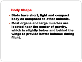 Adaptations-in-Birds with thair nominic lecture .pptx | Birdwatching ...