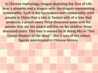 Meanings of the Tree of Life | PPT