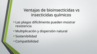 Importancia del uso de los bioinsecticidas | PPTX