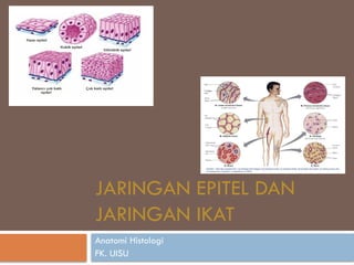 epitel tissue , jaringan ikat dan lainnya | PPTX