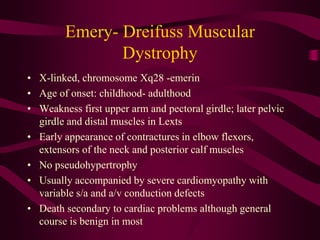 28391890-22213745-Muscular-Dystrophy.ppt