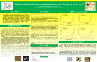 Research Project MVB | PPT