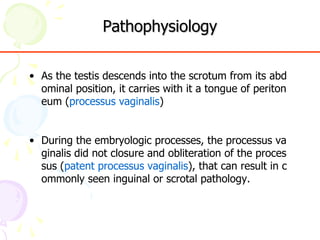 surgical treatment of hydrocele and hernia | PPT