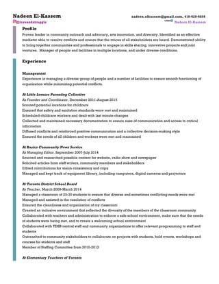N El-Kassem Functional CV | PDF