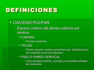 28475157 1-anatomia-interna-del-organo-dentario | PPT