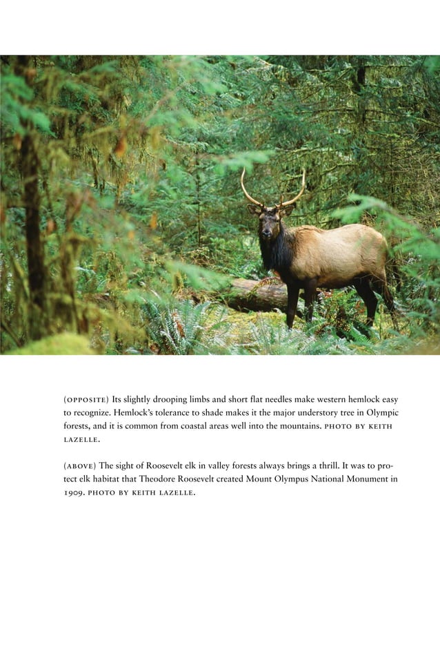 Olympic National Park A Natural History Tim Mcnulty | PDF