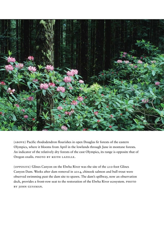 Olympic National Park A Natural History Tim Mcnulty | PDF