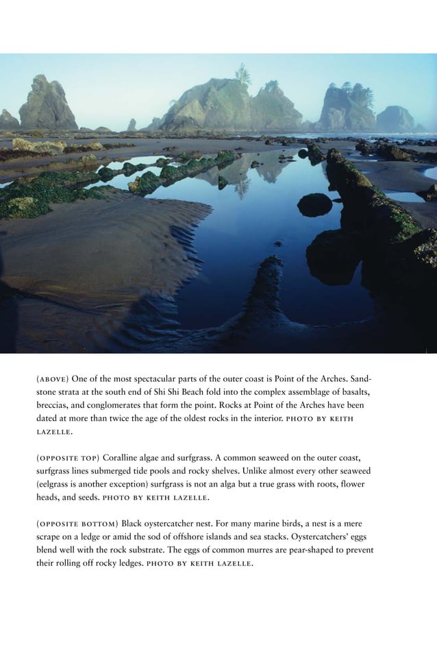 Olympic National Park A Natural History Tim Mcnulty | PDF