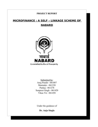 28501658 nabard-report | PDF