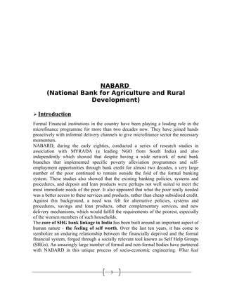 28501658 nabard-report | PDF