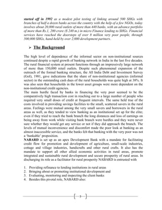 28501658 nabard-report | PDF