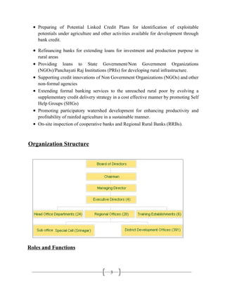 28501658 nabard-report | PDF