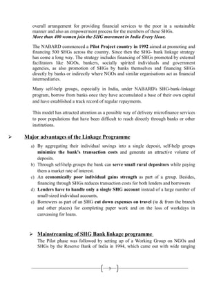 28501658 nabard-report | PDF