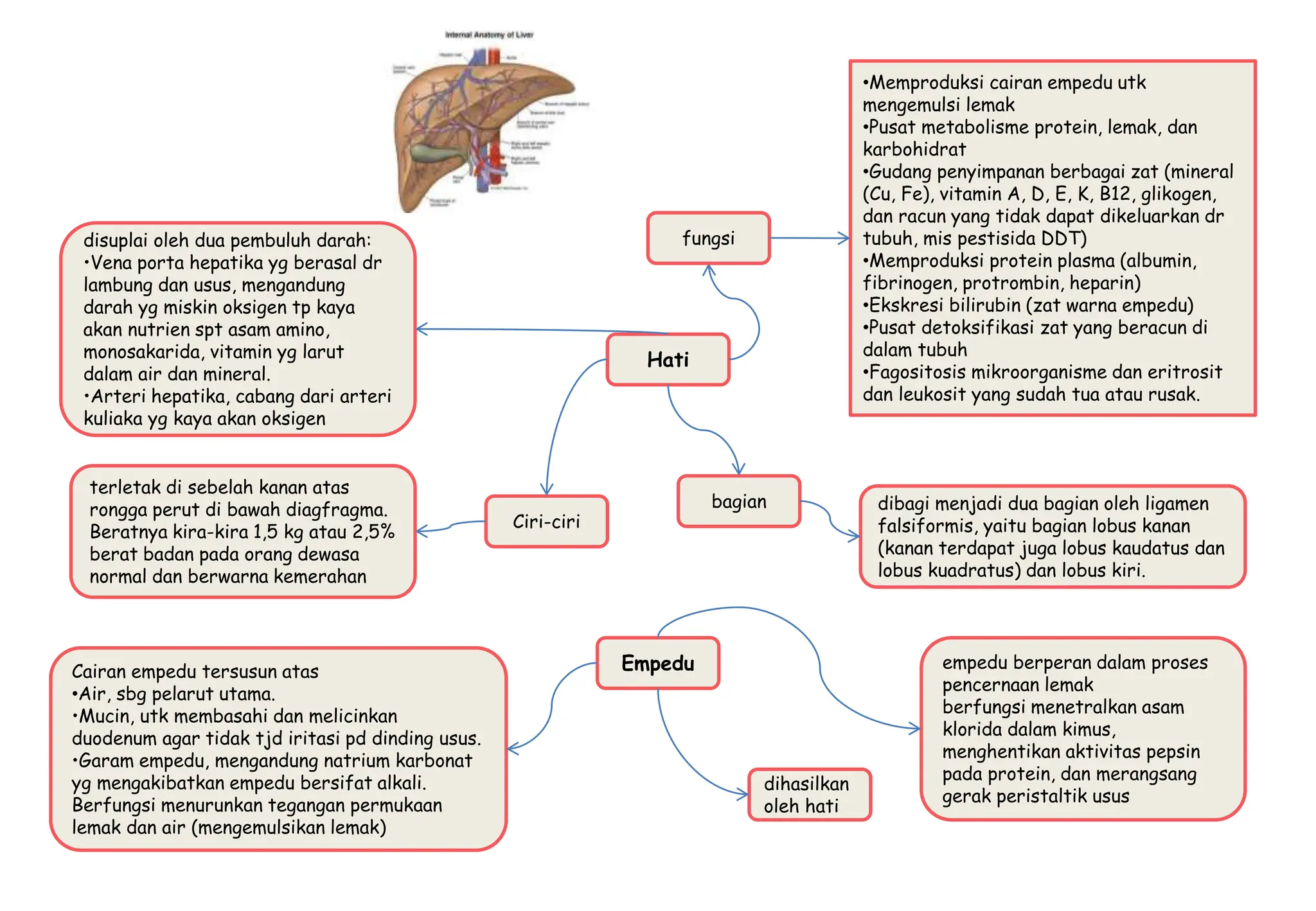 285443489-mind-map-sistem-pencernaan-makanan.pptx