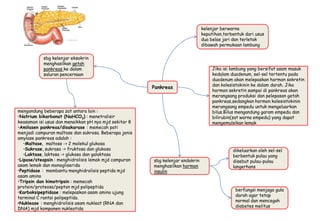 285443489-mind-map-sistem-pencernaan-makanan.pptx
