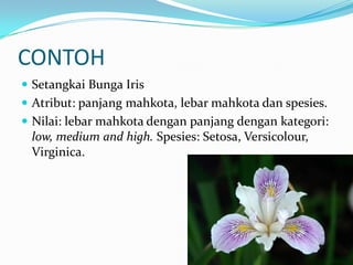 28601 7 kubus data | PPT