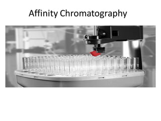 286676242-Affinity-Chromatography-ppt.pdf | Chemistry | Science