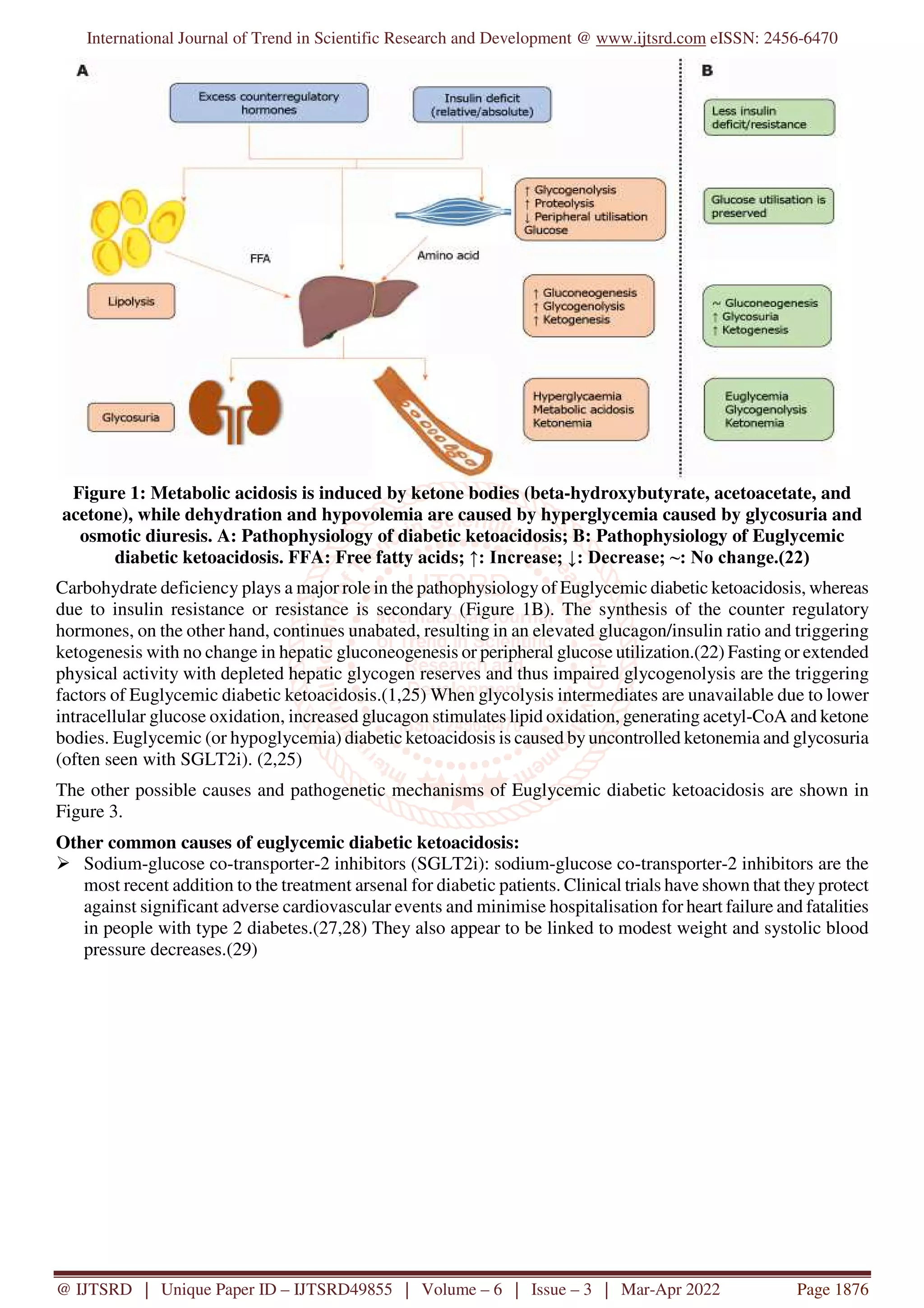 A Review on Euglycemic Diabetic Ketoacidosis | PDF