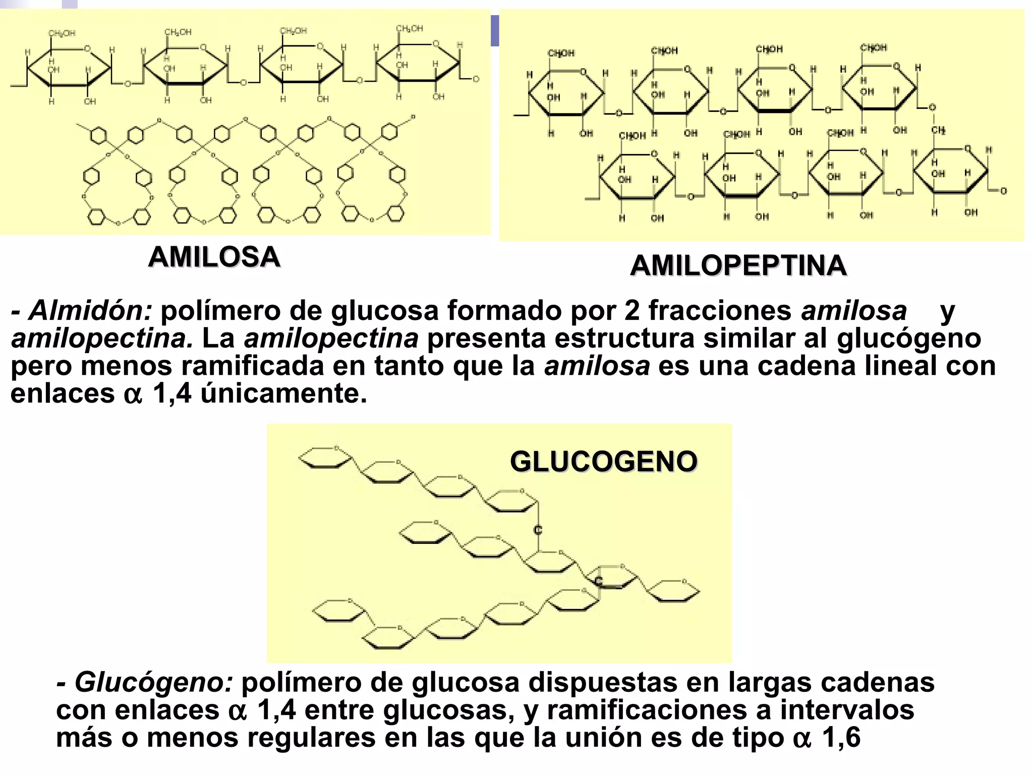 2870098 determinacion-de-la-actividad-enzimatica-de-la-amilasa-salival ...