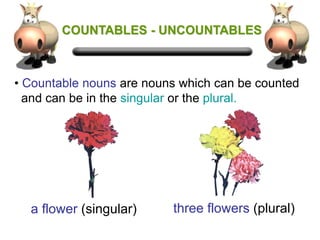 Countables-Uncountables-Powerpoint-Presentation.ppt