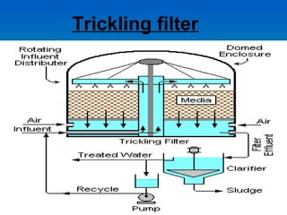 28737268 waste-water-treatment-ppt | PPT