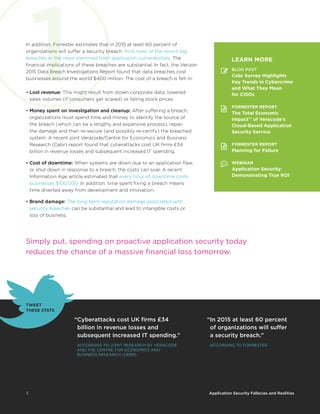application-security-fallacies-and-realities-veracode | PDF