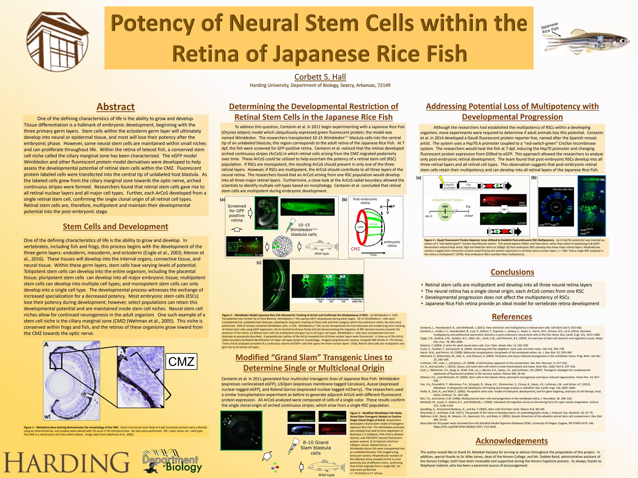 Honors Capstone Poster | PPT