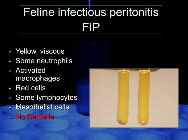(9) body fluids | PPTX