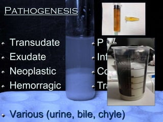 (9) body fluids | PPTX