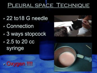 (9) body fluids | PPTX