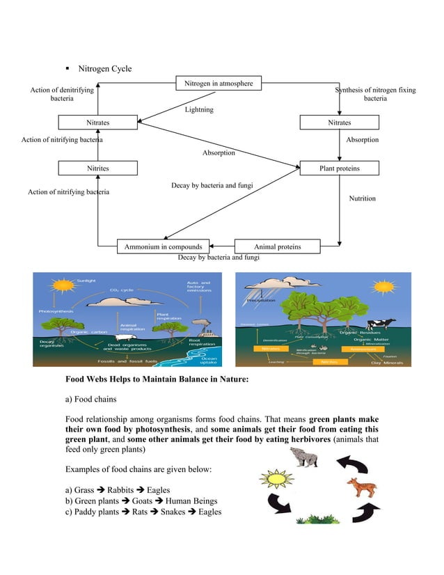28902418 sains-spm-chapter-3-form-5 | PDF