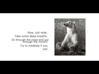 kids book.The-Blue-Day-Book in english.pdf