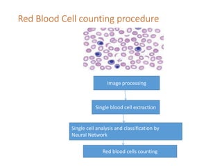 RED BLOOD CELLS EXTRACTION AND COUNTING | PPTX